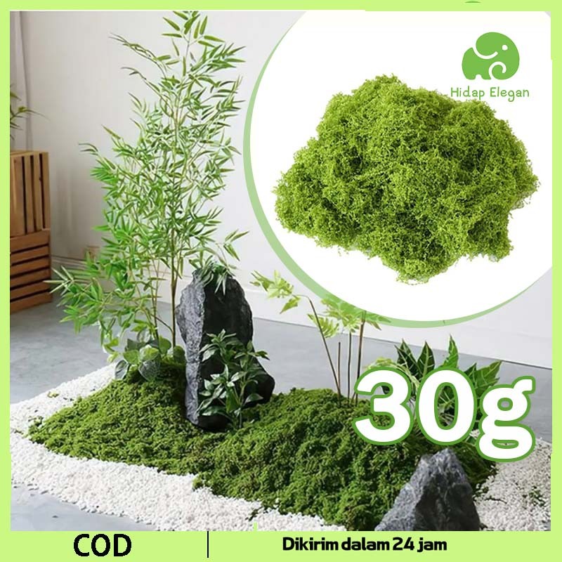 Jual Lumut Palsu Moss Lumut Kering Aplikasi Multi-Adegan Lumut Palsu ...