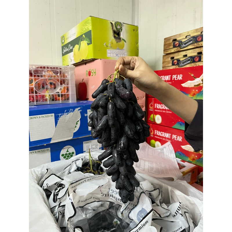 Jual ANGGUR JARI SAPHIRE Buah grape | HARGA PER KG | GRAPES FRUIT MANIS ...