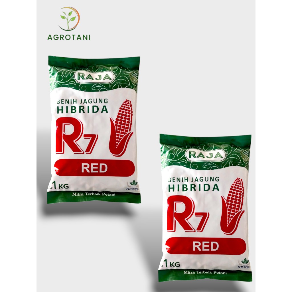 Jual Benih Jagung RAJA R7 Red - 1kg | Shopee Indonesia
