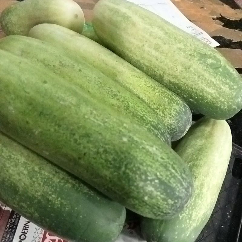 Jual Timun Sayur pilihan Fresh 1 KG | Shopee Indonesia