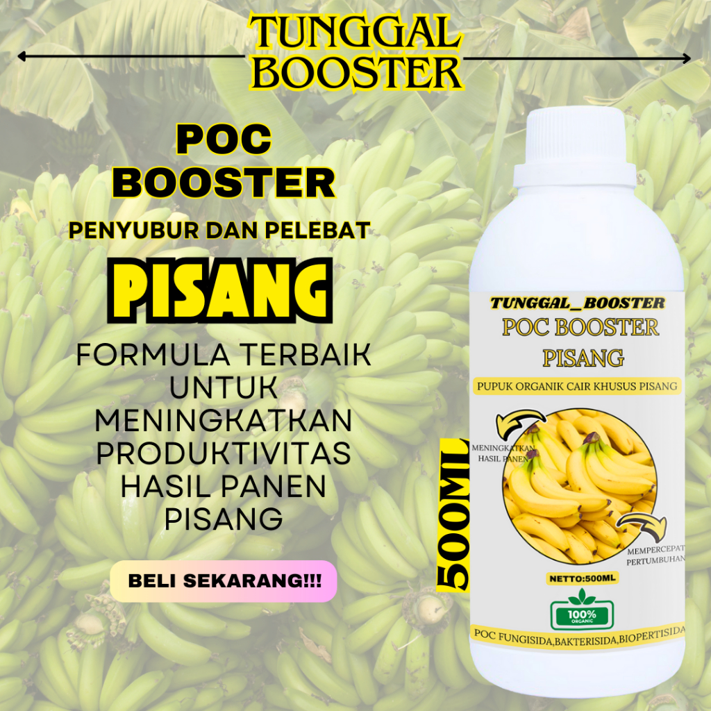 Jual Pupuk Organik Cair Tanaman Pisang Booster Pelebat dan Perangsang Buah Pisang premium 500ml ...