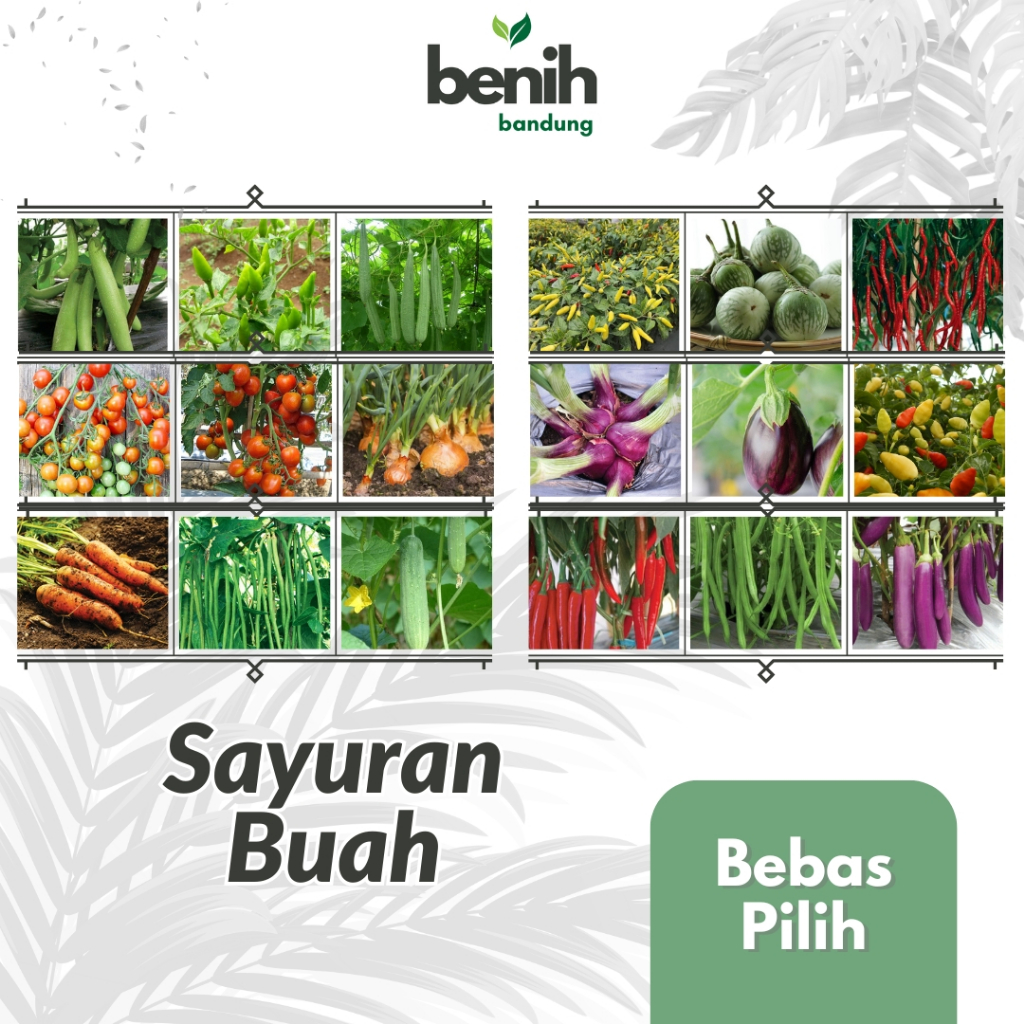 Jual Benih Sayuran Buah Lengkap Aneka Bibit Sayur Unggul Panen Buah ...