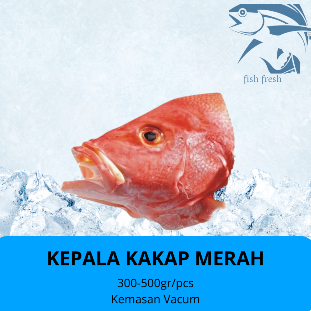 Jual KEPALA KAKAP MERAH SEGAR FROZEN | Shopee Indonesia