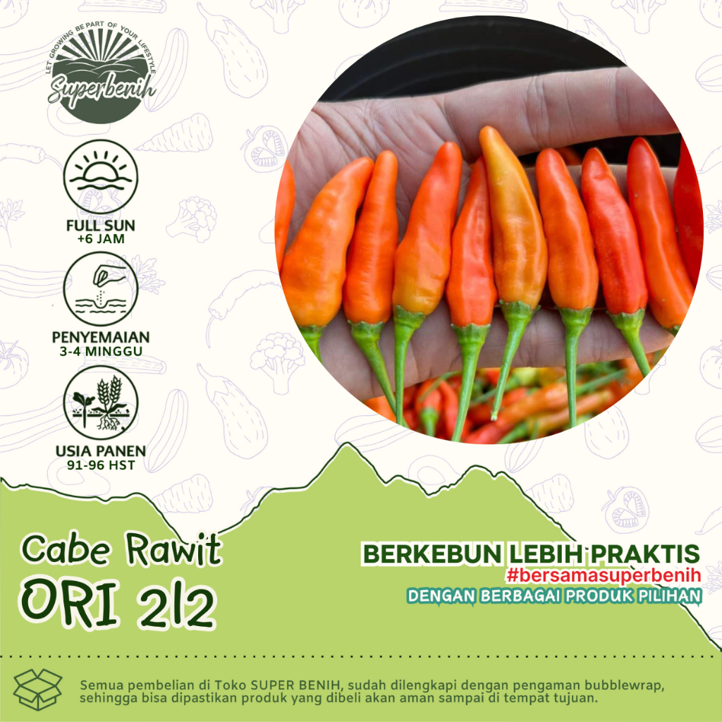 Jual Bibit Cabe Terlengkap & Harga Terbaru Mei 2026 | Shopee Indonesia
