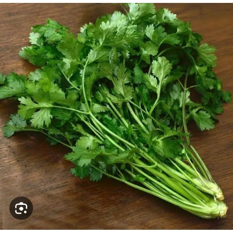 Jual DAUN KETUMBAR SEGAR 100g | Shopee Indonesia