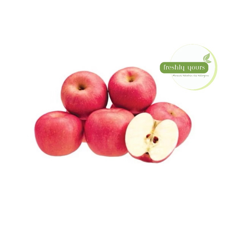Jual APEL FUJI FRESH PREMIUM 500 gram | Shopee Indonesia