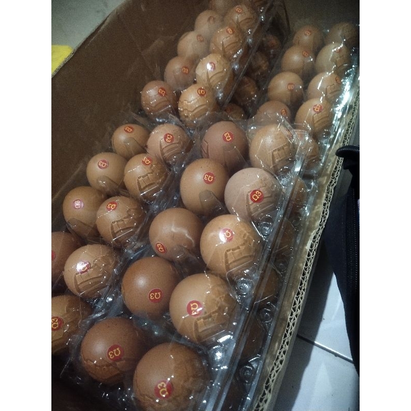 Jual Telur Omega Premium (1 Pack isi 10 Butir)Telur Pilihan Berkualitas ...