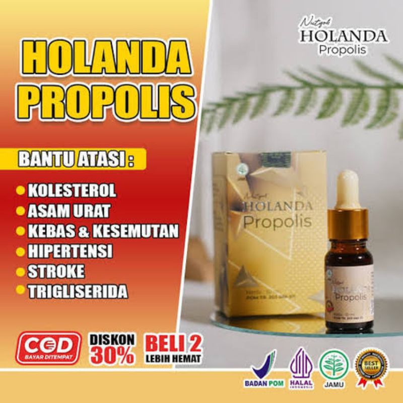 Jual Holanda Propolis Asli Original Melancarkan Penyumbatan Darah ...