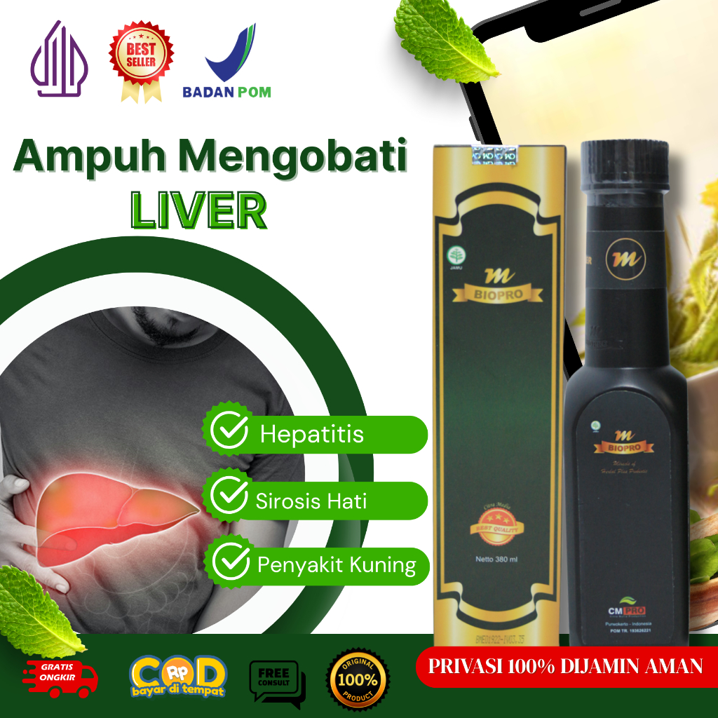 Jual Obat Liver, Hepatitis B, Limpa Bengkak, Penyakit Kuning, Kanker ...