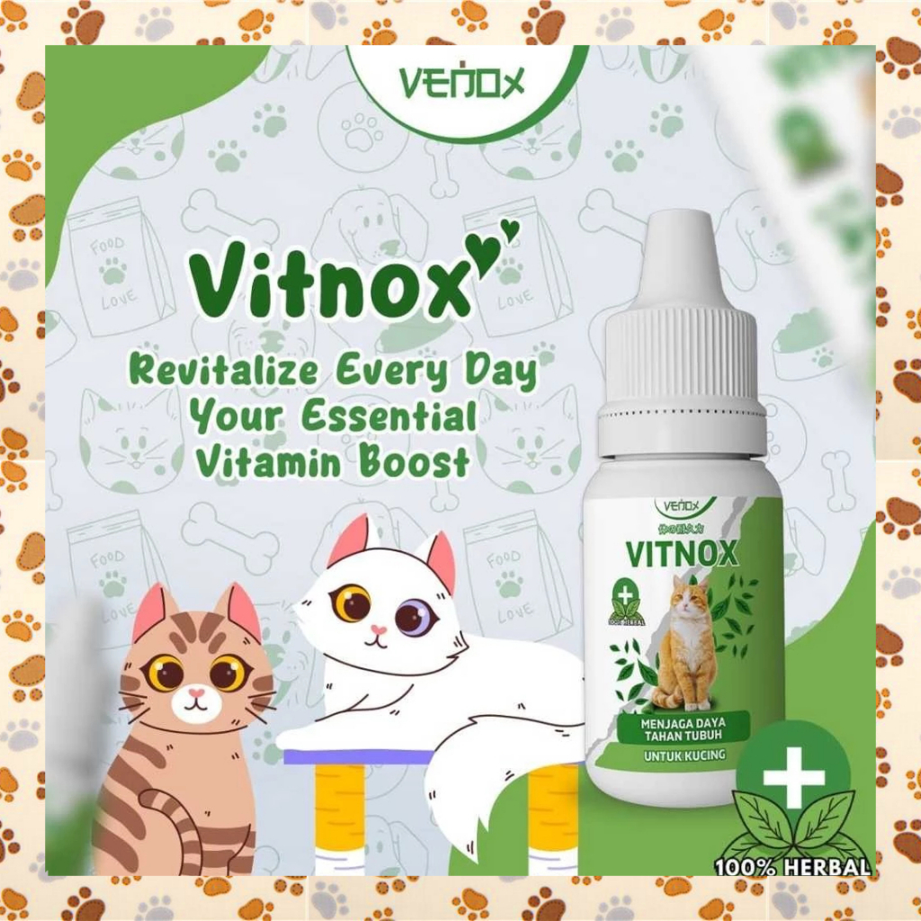 Jual Venox VITNOX Obat Vitamin Kucing Imunitas Kekebalan Tubuh ...