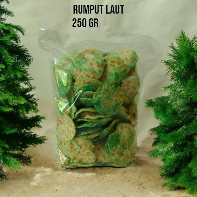 Jual KERIPIK TEMPE SAGU RUMPUT LAUT 250 gr/ 500gr/ 1kg | Shopee Indonesia