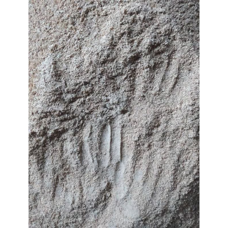 Jual Pakan hewan dedek katul per 5 kg | Shopee Indonesia