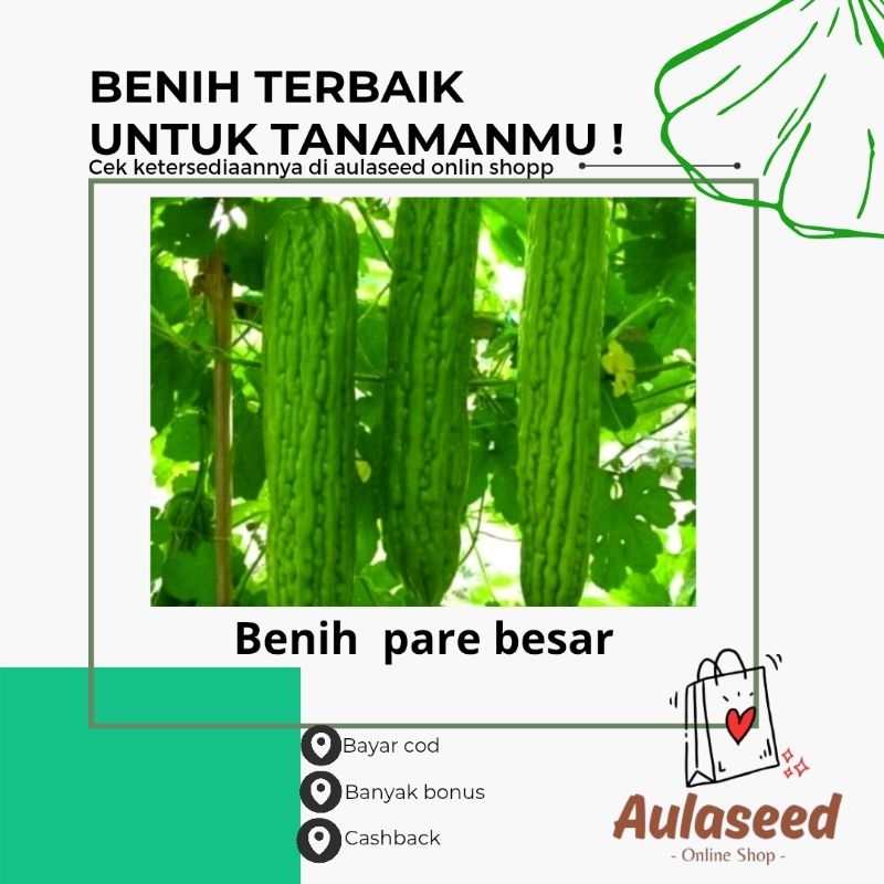 Jual benih pare besar paket hemat 1 kg | Shopee Indonesia