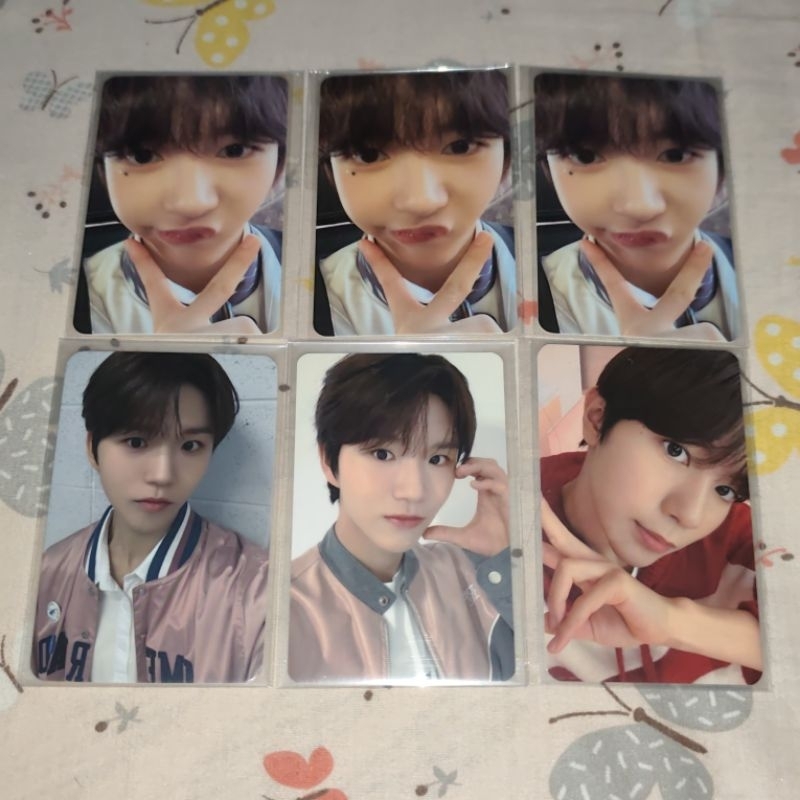 Jual (BACA DESK) - Photocard Official NCT Wish Sakuya Jaehee Ryo Sion Album Non Album ...