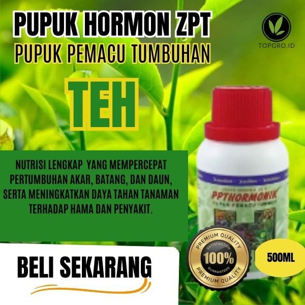 Jual Pupuk ZPT Perangsang Bunga Akar Batang Tanaman Teh / Pupuk Hormon ...