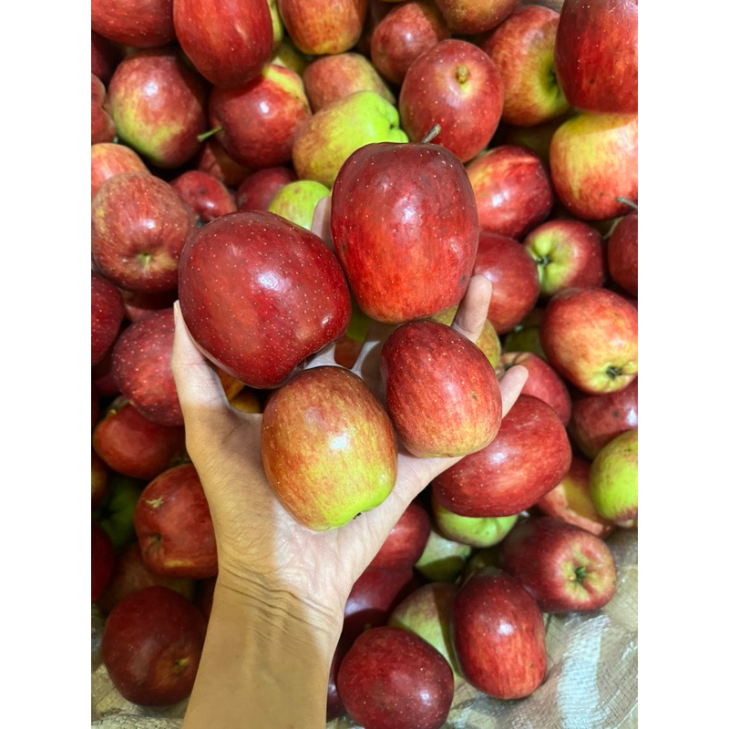 Jual Apel Ana Ukuran Campur Grade ABC 1kg, Rasa Asam Manis, *Khusus ...