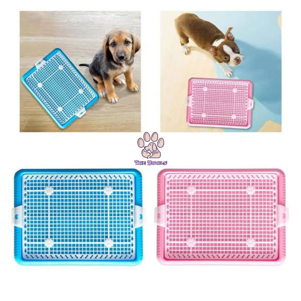 Jual (The Bool's) Pet Toilet Training Pee Poop - Tempat Pipis Tipe ...