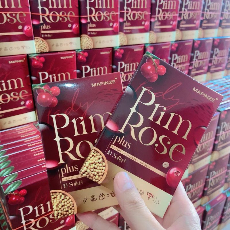 Jual Lady Primrose Plus | Shopee Indonesia