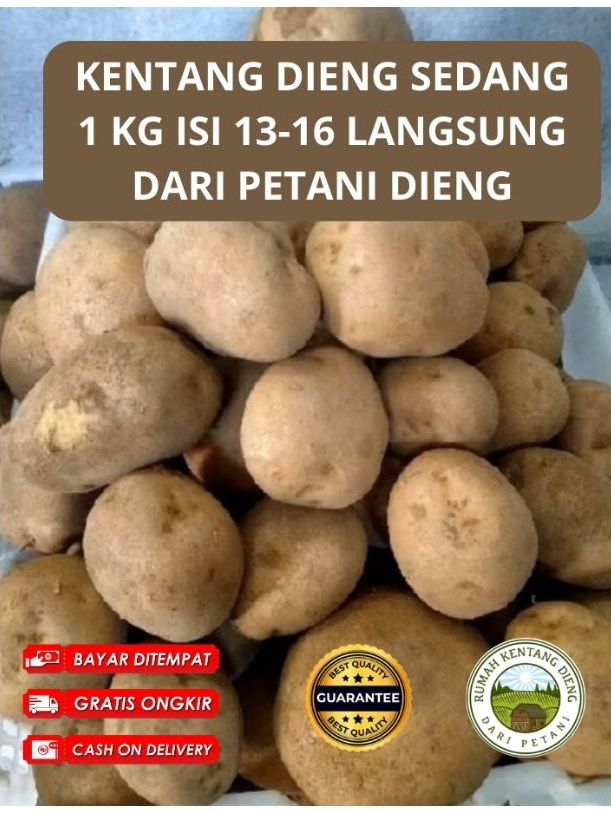 Jual Kentang Dieng Sedang 1kg | Shopee Indonesia