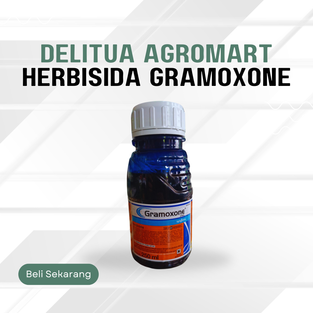 Jual HERBISIDA GRAMOXONE 250 m | Shopee Indonesia
