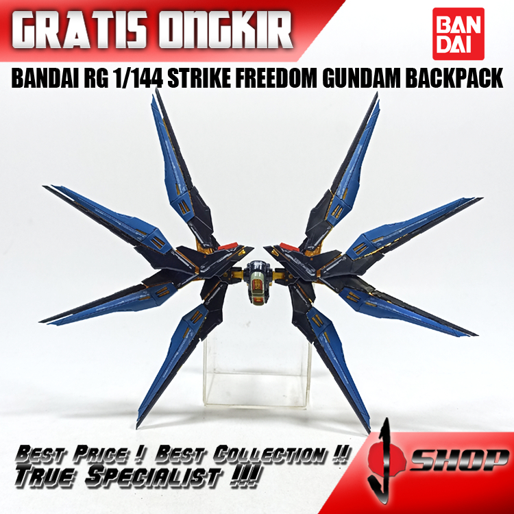 Jual BANDAI RG 1/144 STRIKE FREEDOM GUNDAM BACKPACK RG324 | Shopee ...