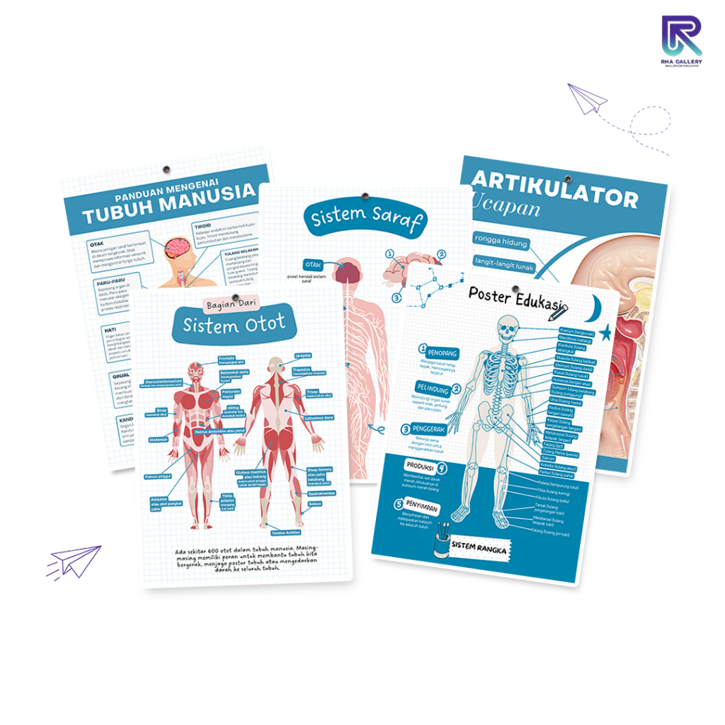 Jual RHA GALLERY Poster Edukasi Anggota Tubuh Sistem Pencernaan Pajangan Sekolah Edukasi ...