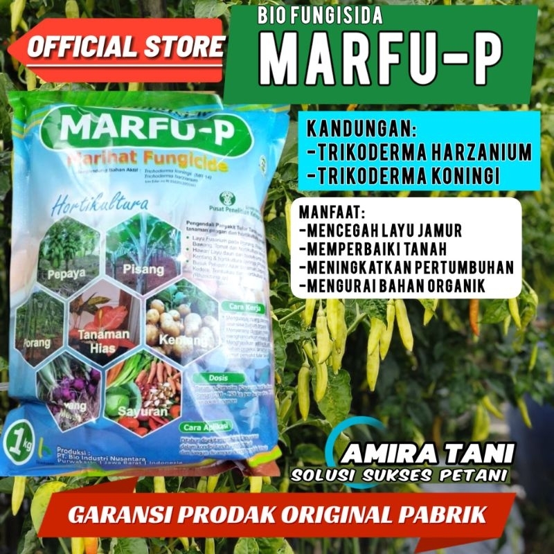Jual Trikoderma marfu p 1kg (harzanium+koningi)atasi layu tanaman ...