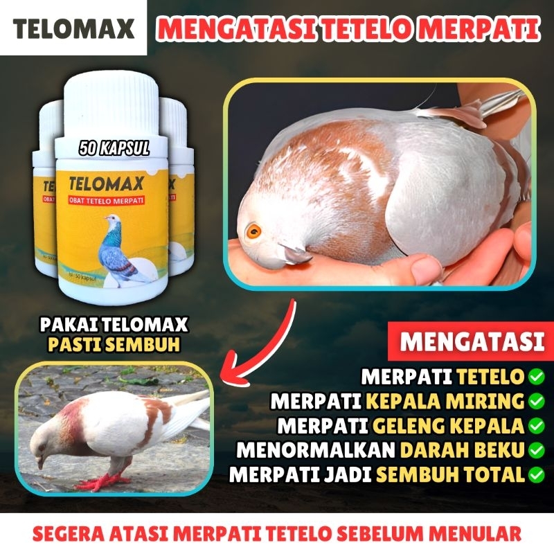Jual 𝗢𝗕𝗔𝗧 𝗧𝗘𝗧𝗘𝗟𝗢 / 𝗧𝗘𝗟𝗢 𝗠𝗘𝗥𝗣𝗔𝗧𝗜 !! TELOMAX | Shopee Indonesia