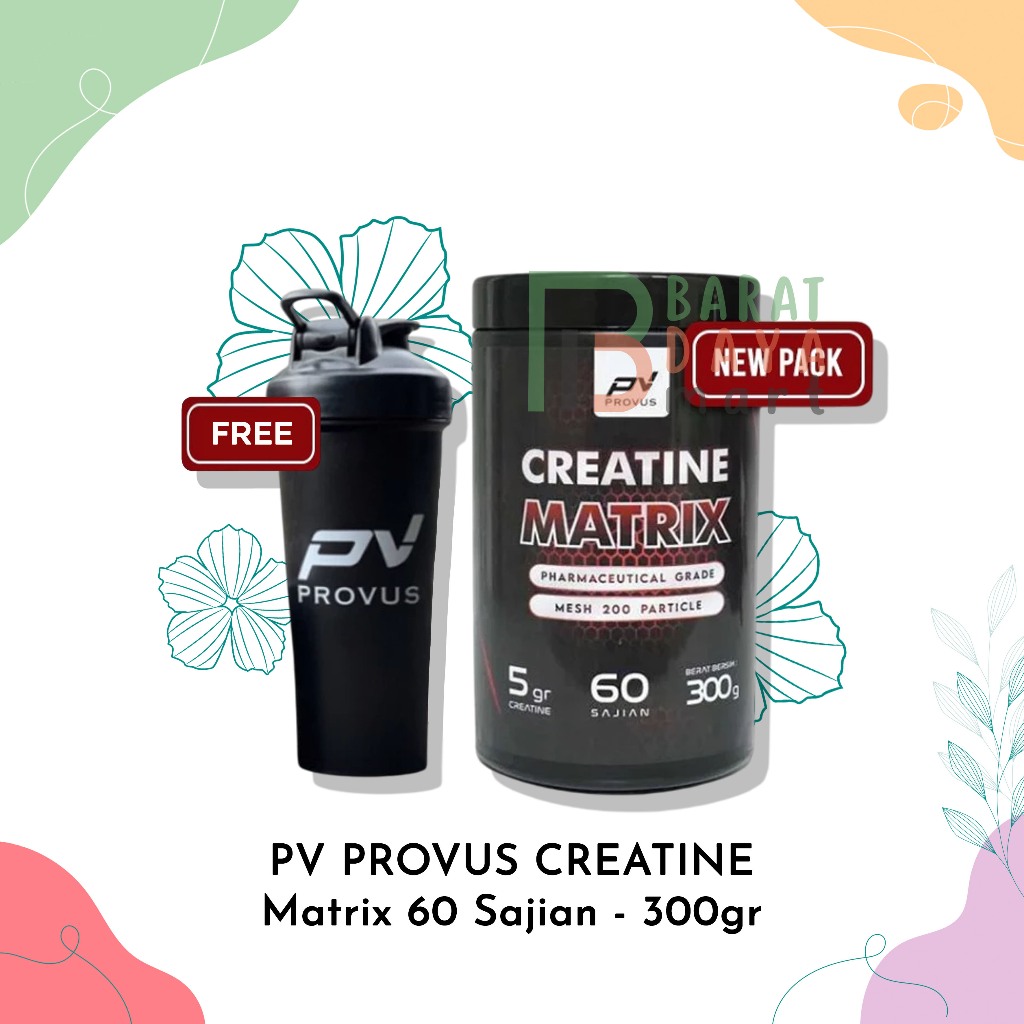 Jual PV PROVUS Creatine Matrix 300gr Unflavored - 60 Sajian Original ...