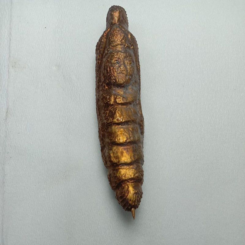 Jual besi kuning putri | Shopee Indonesia