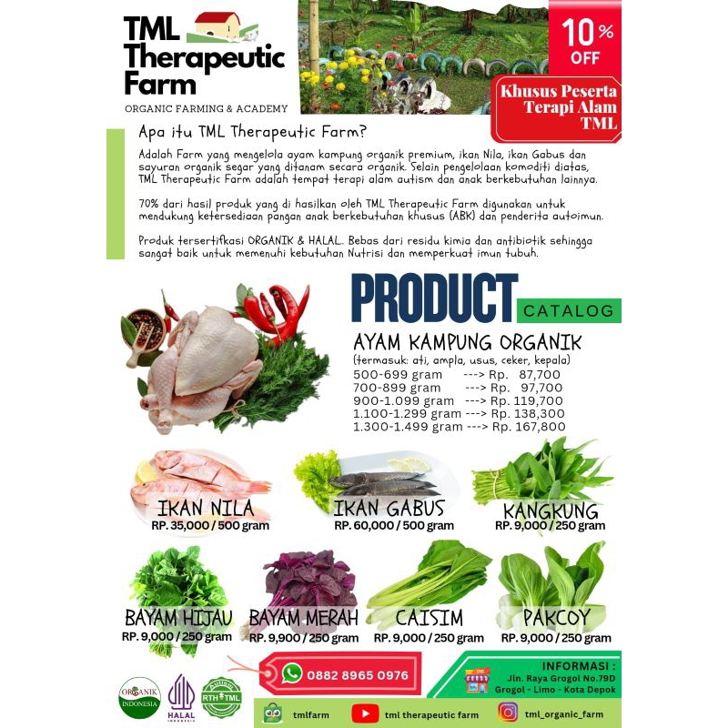 Jual AYAM KAMPUNG ORGANIK TML FARM (COCOK UNTUK ANAK BERKEBUTUHAN ...