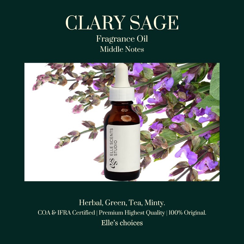 Jual CLARY SAGE Fragrance Oil | Shopee Indonesia