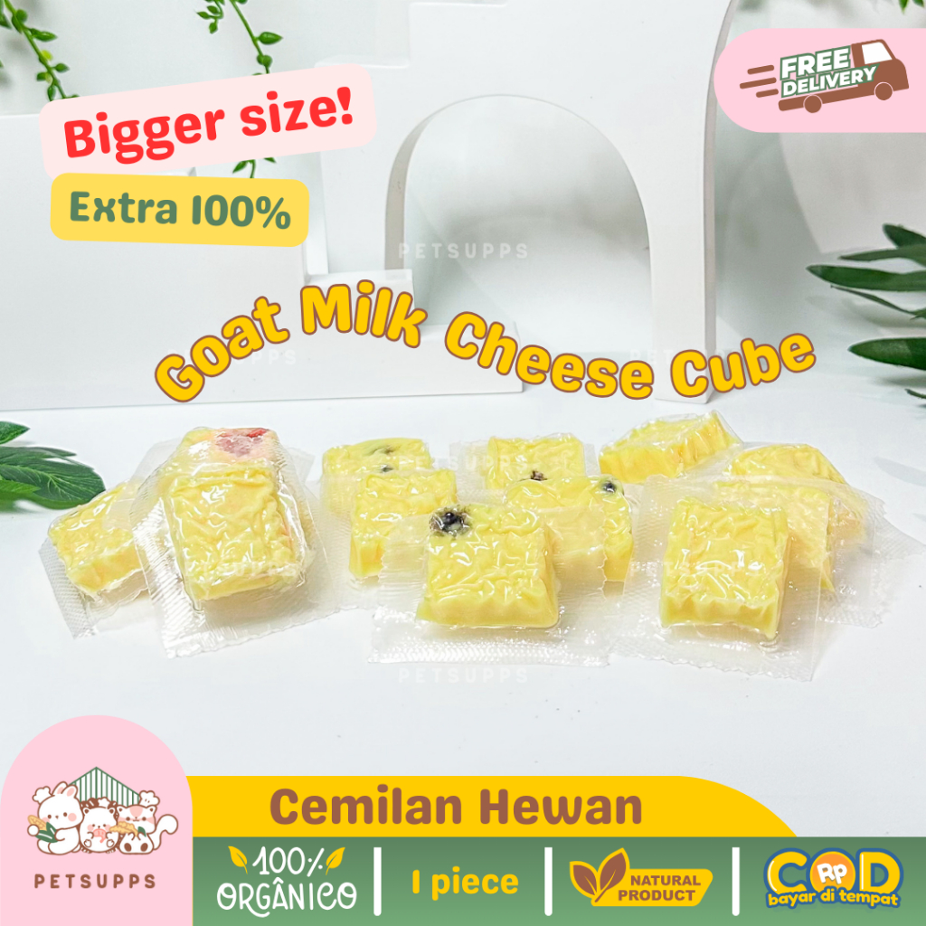 Jual [1piece] Goat milk cheese cube flavour bliss | sugar glider ...