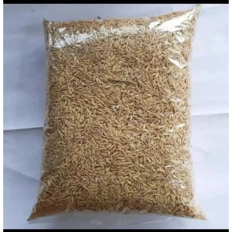 Jual media tanam sekam sekem kulit padi 2kg | Shopee Indonesia