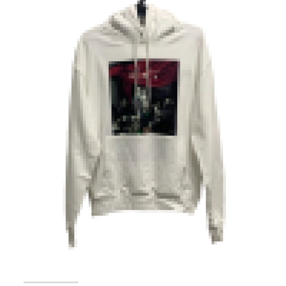 Jual [0FW] Hoodie Caravaggio Caravaggio Madonna of The Rosary | Shopee ...