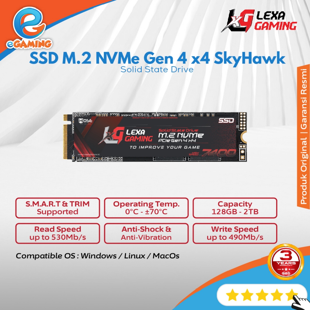 Jual Hose LXG Series SSD M.2 NVMe PCI-E Gen4 x4 SkyHawk (Speed up to ...