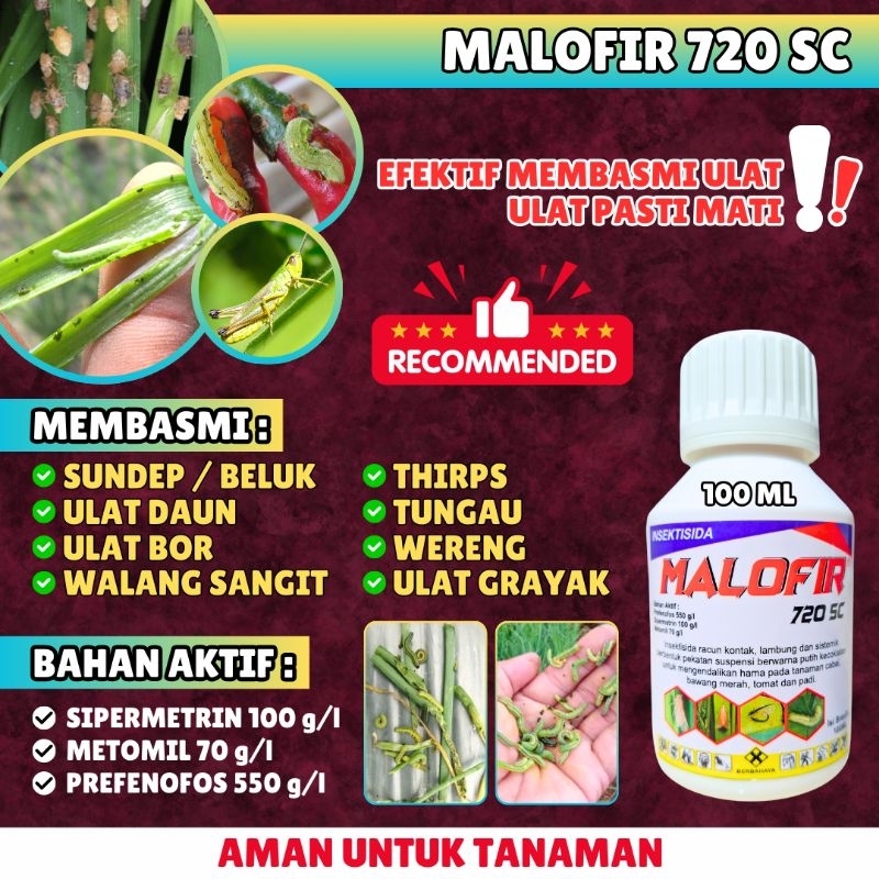 Jual 𝗣𝗘𝗡𝗚𝗘𝗡𝗗𝗔𝗟𝗜 𝗛𝗔𝗠𝗔 𝗔𝗠𝗣𝗨𝗛 !! - Malofir 720sc Insektisida Sistemik Ulat ...