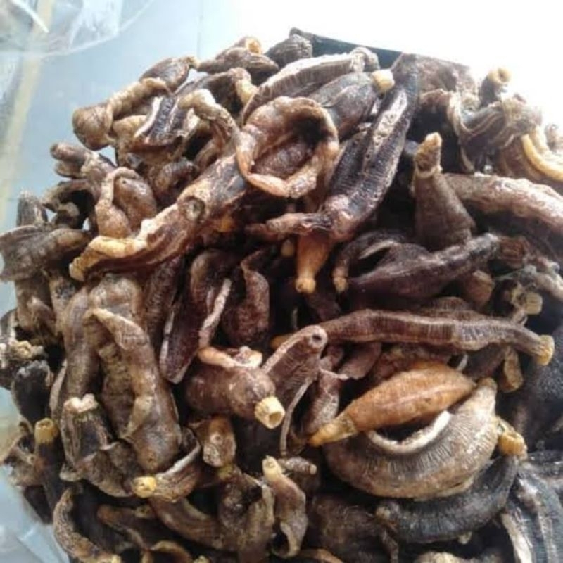 Jual Kerupuk Teripang / Tripang / Blonyo Hitam / Rung Terung Khas ...