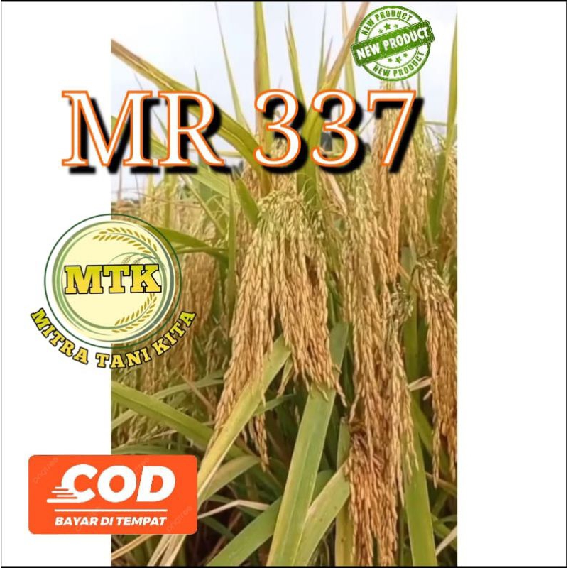 Jual BENIH PADI MR 337 KEMASAN 5KG original | Shopee Indonesia