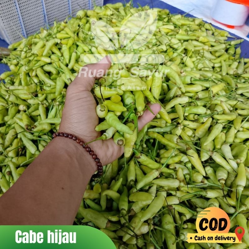 Jual Cabai Rawit Hijau 500 Gram , Cabai Prentul Hijau 1 Kg , Cabai Rawit Hijau | Shopee Indonesia