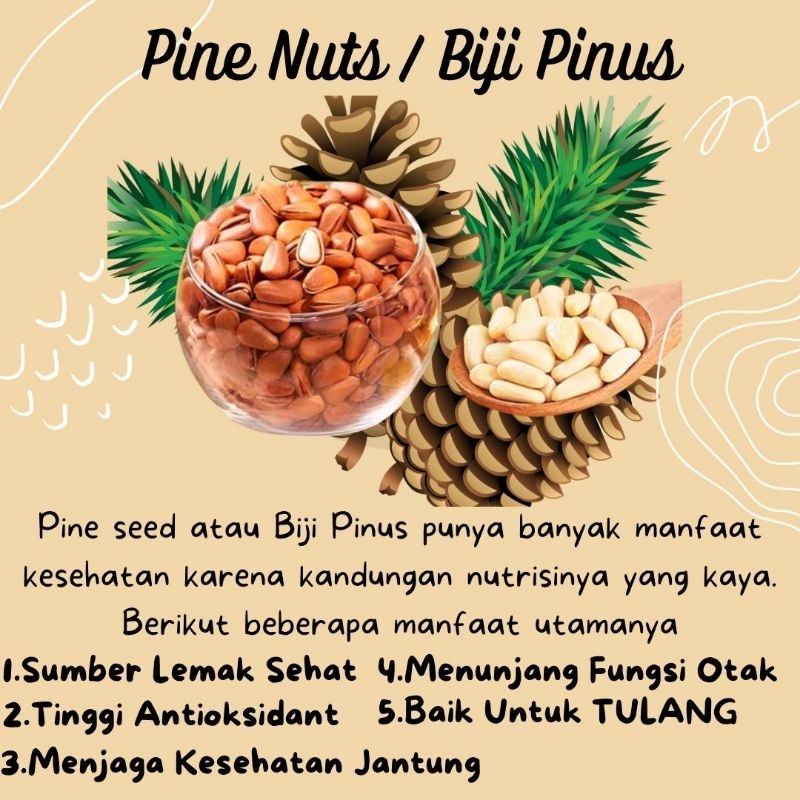 Jual Pine Nuts Roasted 200gr | Biji Pinus Panggang | Kacang Pinus Original | Kuaci Pinus ...