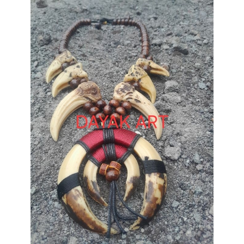 Jual KALUNG TARING BABI/KUKU MACAN HARIMAU | Shopee Indonesia