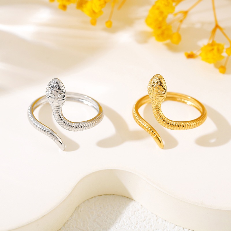 Jual Cincin paduan titanium anti karat bentuk ular sederhana cocok ...