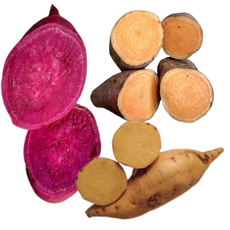 Jual aneka ubi berbagai jenis ubi jalar mix ( campur ) (ubi cilembu ubi ...