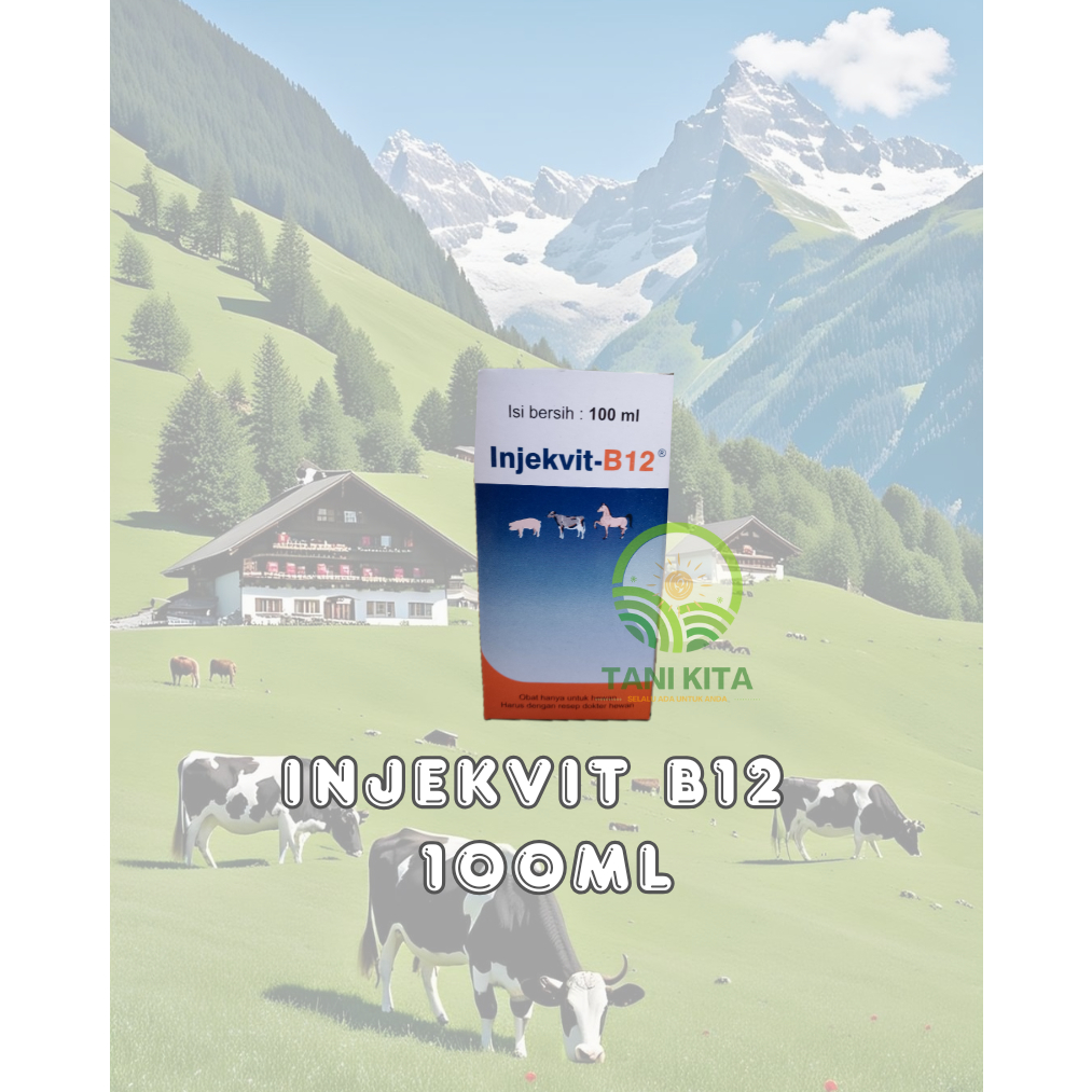 Jual INJEKVIT B12 100ML OBAT UNTUK MEMPERBAIKI KONDISI ANEMIA DAN ...