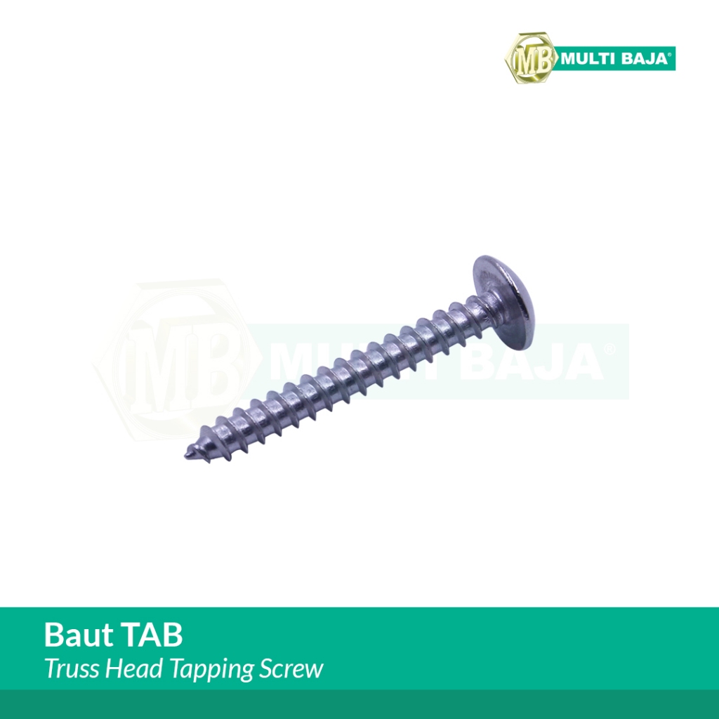Jual Sekrup TAB Stainless Steel 304 M5 x 25 ( Tapping Screw ) | Shopee Indonesia