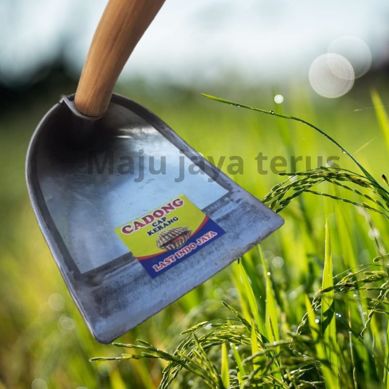 Jual CANGKUL/PACUL CADONG BAJA BESI LADANG KEBUN 100% ORIGINAL | Shopee ...