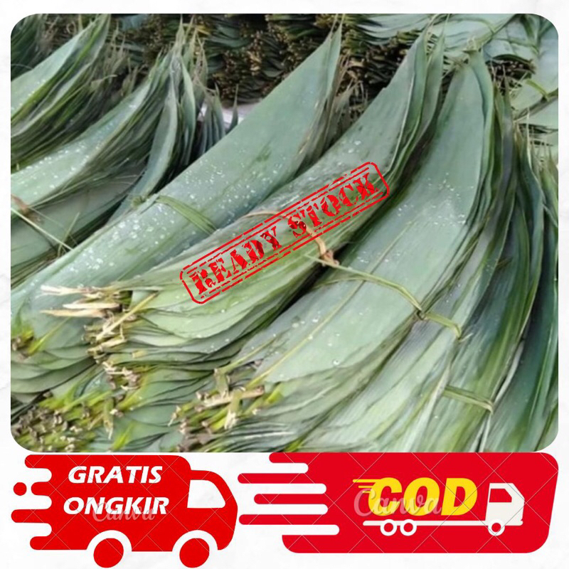 Jual Daun bambu segar 100 lembar/Daun bambu untuk bacang | Shopee Indonesia
