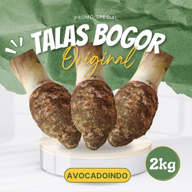 Jual Talas Bogor Original 1-2-3Kg Oleh oleh khas Bogor dikirim tanpa ...