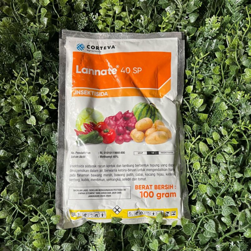 Jual INSEKTISIDA CORTEVA LANNATE 40SP 100gr | Shopee Indonesia